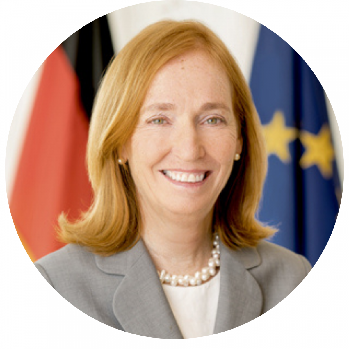 Pandemic Management and Preparedness in the U.S. and Germany: Looking ...